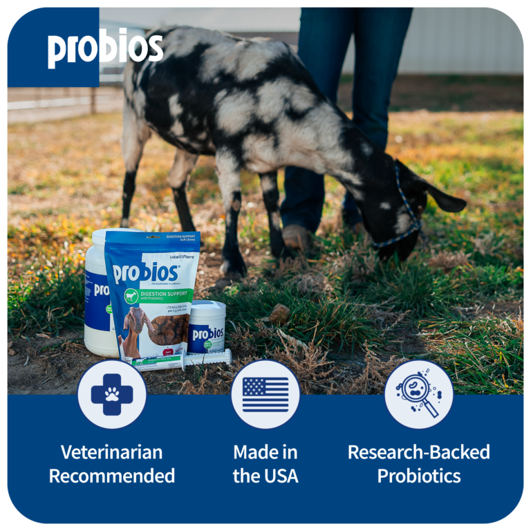 Probios® Goat Probiotic Oral Gel - Probios